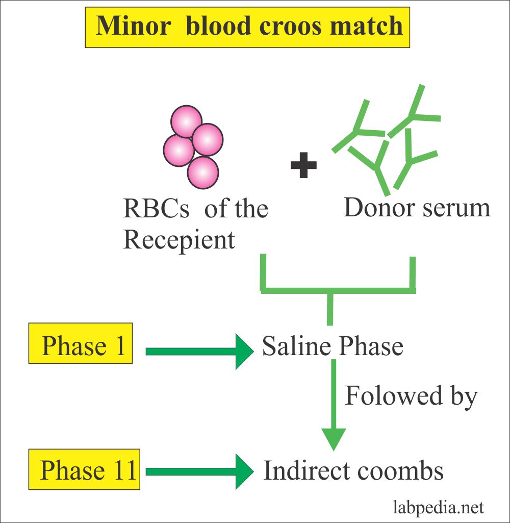Blood Banking Part 2 Definition Of Blood Banking Donor Selection
