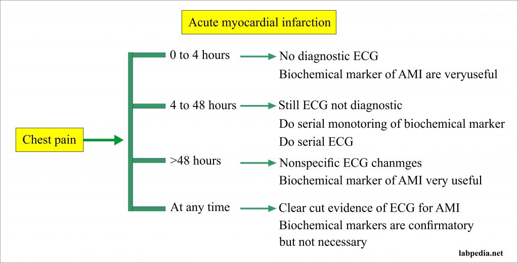Cardiac marker – Part 1 – Diagnosis of Acute Myocardial Infarction, AMI ...