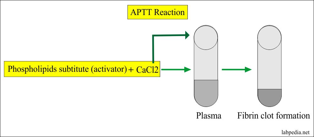 Coagulation – part 6 – Activated Partial Thromboplastin Time (APTT ...