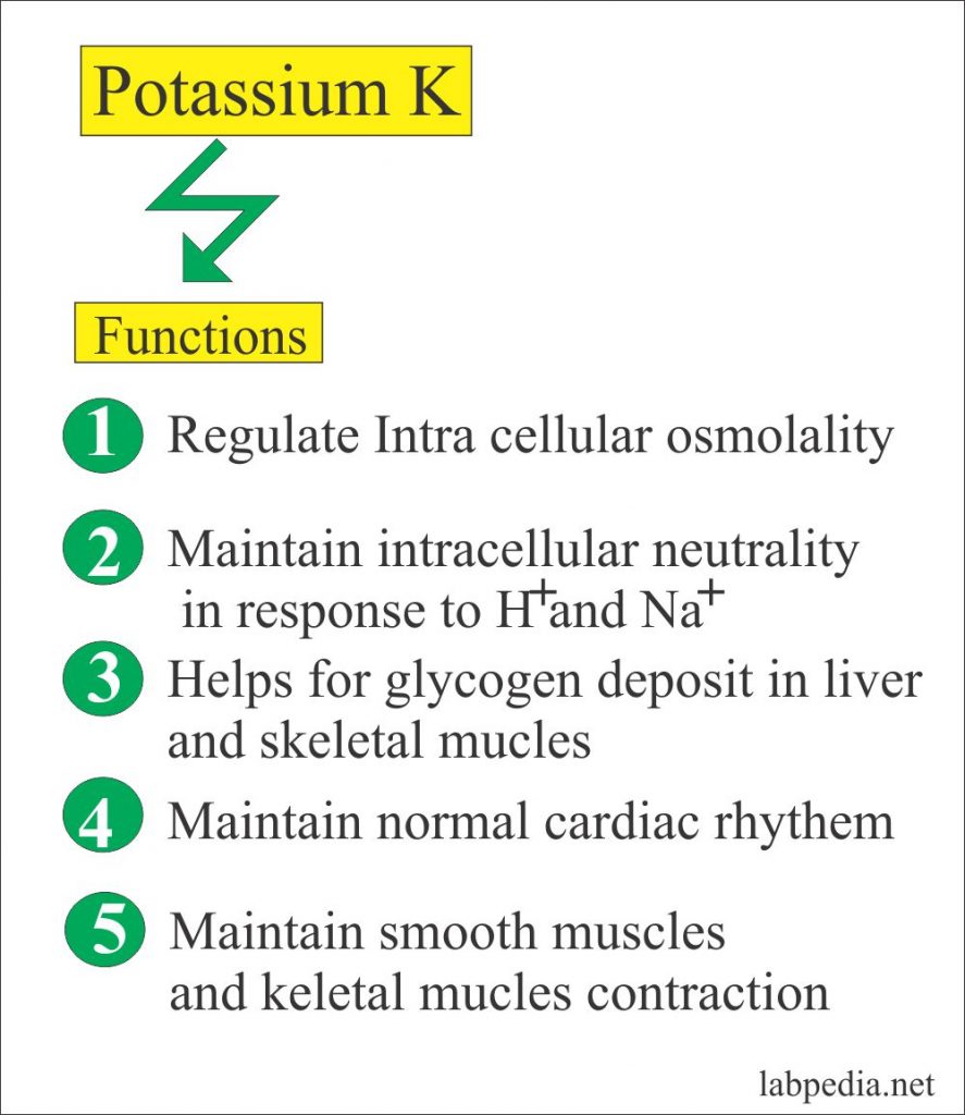 Electrolytes – Part 1 – Potassium (K+) Blood – Labpedia.net