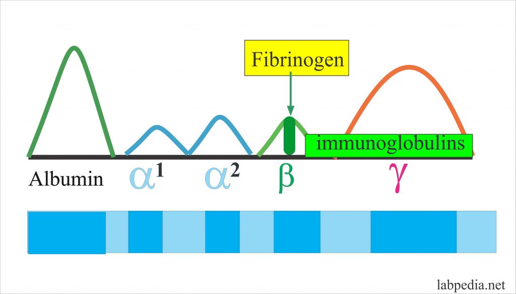 Fibrinogen (Factor I), Afibrinogenemia, Dysfibrogenemia – Labpedia.net