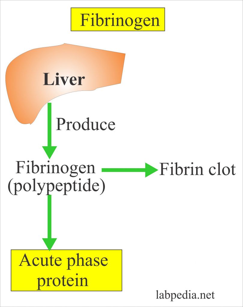 Fibrinogen Factor I Afibrinogenemia Dysfibrogenemia Labpedia