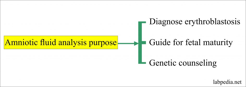 Fluid Analysis Part 5 Amniotic Fluid Examination Amniocentesis