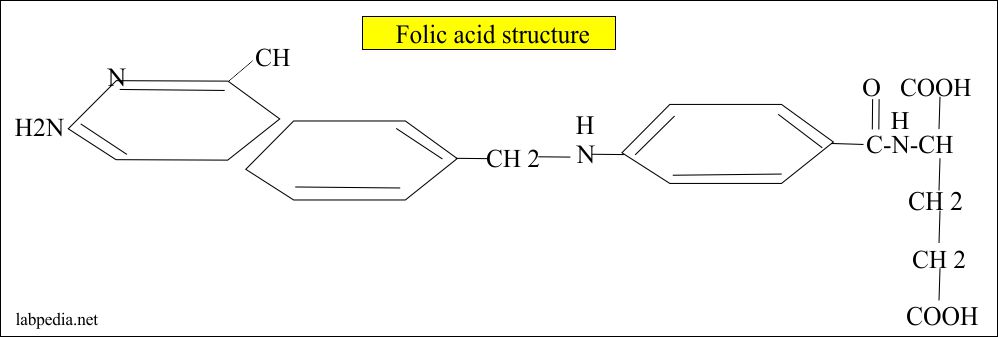 Folic Acid and Folate – Labpedia.net