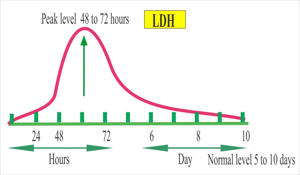 Lactate Dehydrogenase Level LDH Lactic Dehydrogenase Isoenzymes Of