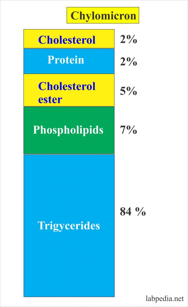 Lipoprotein – part 4 – Chylomicron – Labpedia.net