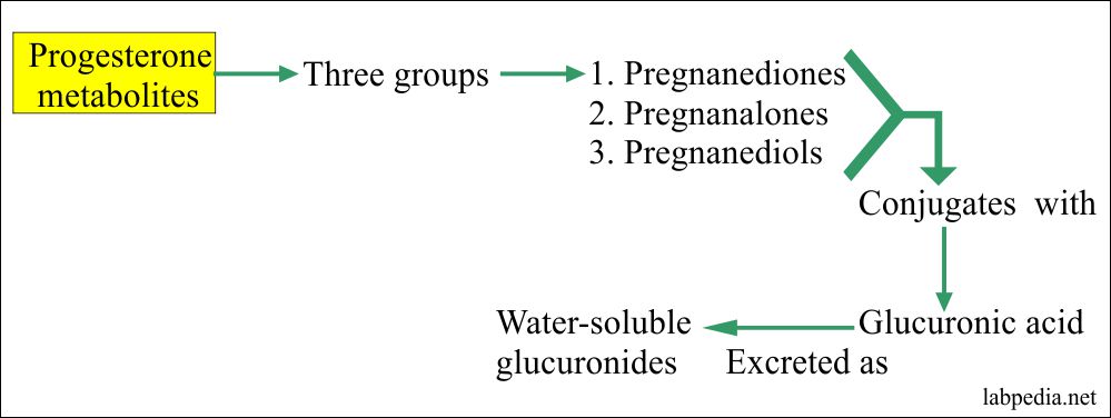 Progesterone Assay - Labpedia.net