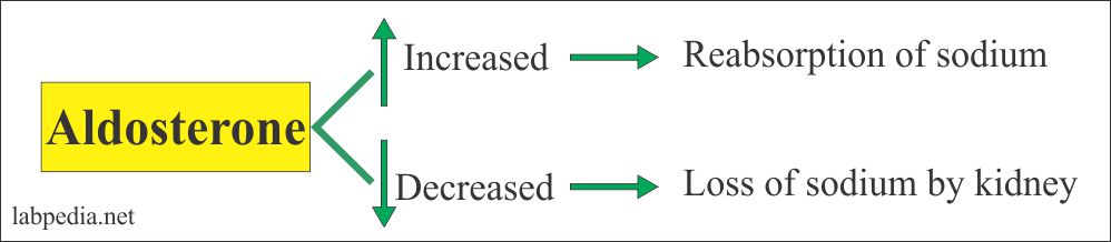 Urine Part 15:- Urine Sodium (Na+), Spot test, or 24 Hours Urine Sodium ...