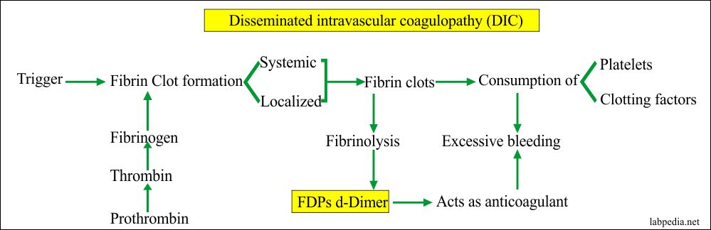 D-Dimer test, Fragment D-dimer, Diagnosis of Disseminated Intravascular ...