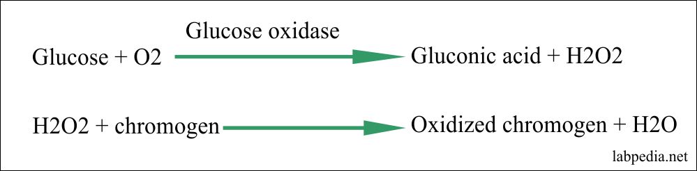 Stool Examination:- Part 4 – Reducing substances, Breath Test, and ...