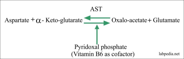 SGOT (Aspartate aminotransferase, AST, Glutamic oxaloacetic ...