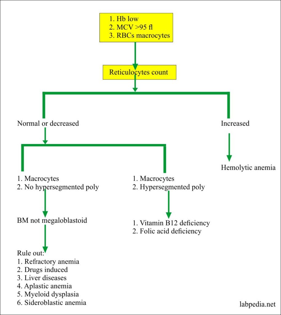 Anemia:- Part 1 – Anemia Classification, Diagnosis, and Routine Work up ...