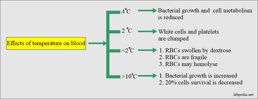 Blood banking:- part 3 - Blood Donation Procedure, Blood Components and ...