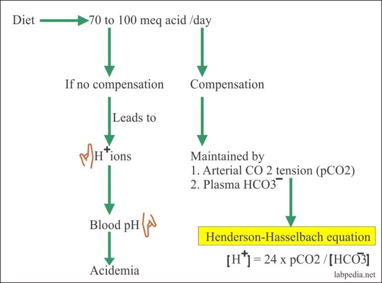 Acid-base Balance – Part 2 – Respiratory Acidosis and Respiratory ...
