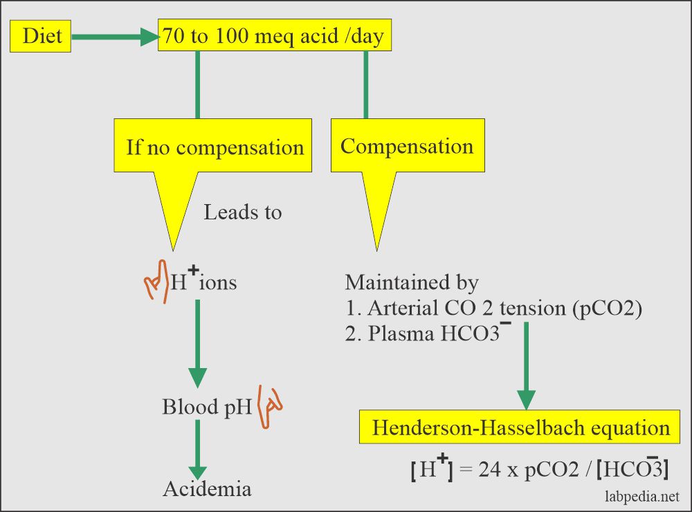 Acid Base Balance Part 2 Introduction Of Acid Base Balance Metabolic Acidosis And